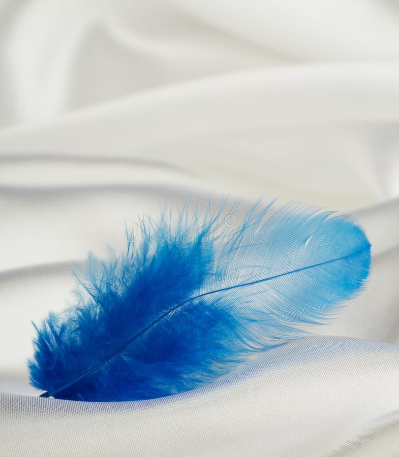 Pluma azul imagen de archivo. Imagen de tolerancia, azul - 26577755