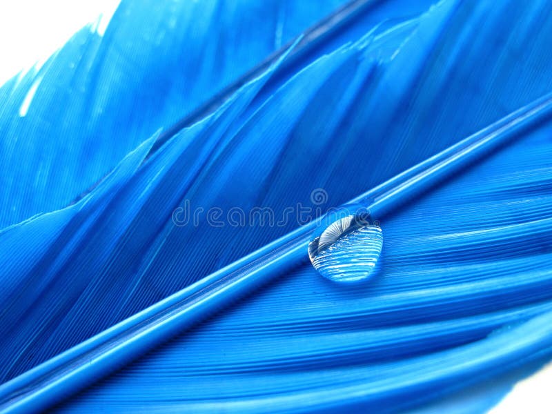 Pluma azul imagen de archivo. Imagen de cubo, azul, delicado - 30250245