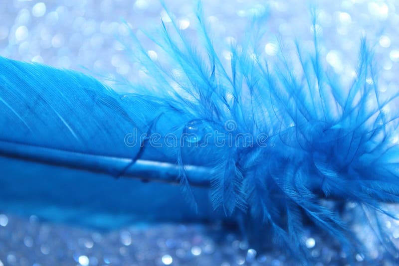 Pluma azul imagen de archivo. Imagen de delicado, textura - 32798383