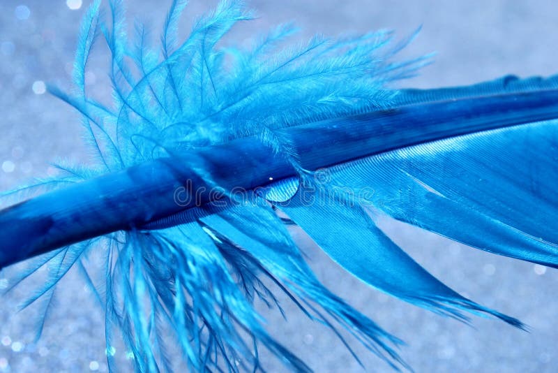 Pluma azul foto de archivo. Imagen de claro, agua, plumaje - 32798414