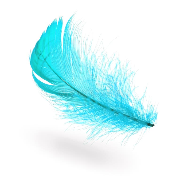 Pluma azul clara foto de archivo. Imagen de resplandor - 34454902