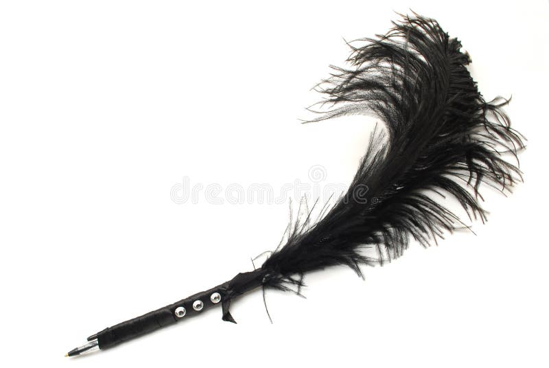Pluma de la pluma imagen de archivo. Imagen de boda, canilla - 11323541