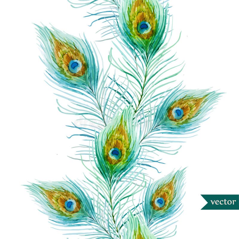 Pluma del pavo real ilustración del vector. Ilustración de colorido ...