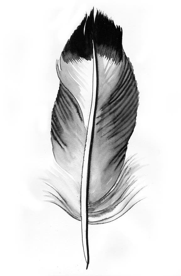 Pluma gris stock de ilustración. Ilustración de gris - 99725480