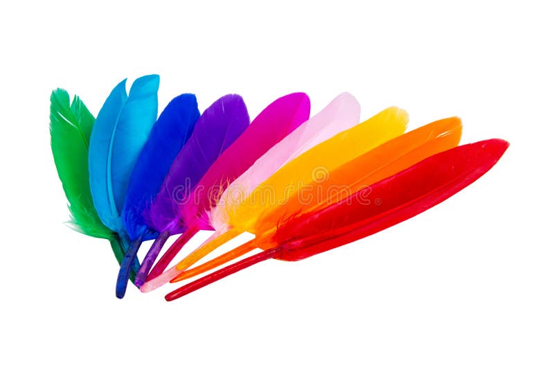 Plumas Multicolores Aisladas En El Fondo Blanco Imagen de archivo ...