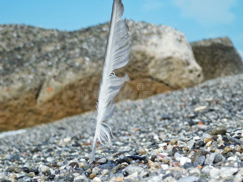 Plume Rocks and Wildflowers Stock Image - Image of plume, formation ...