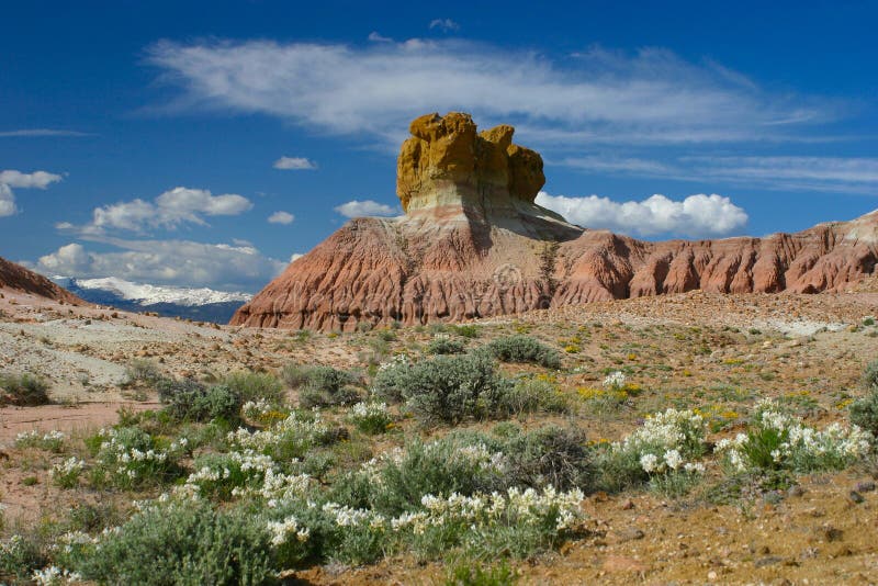 Plume Rocks and Wildflowers Stock Image - Image of plume, formation ...