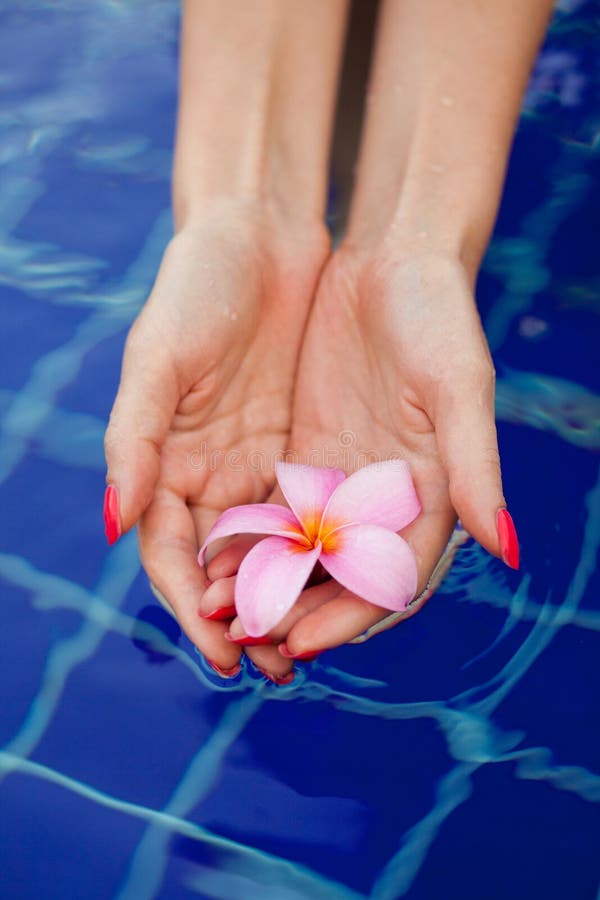 Hands and Flower stock photo. Image of magnolia, massage - 265324