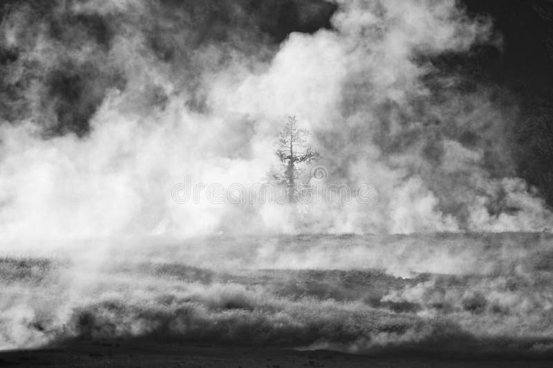Steam Rising from Mt. Saint Helens Stock Photo - Image of mighty, event ...