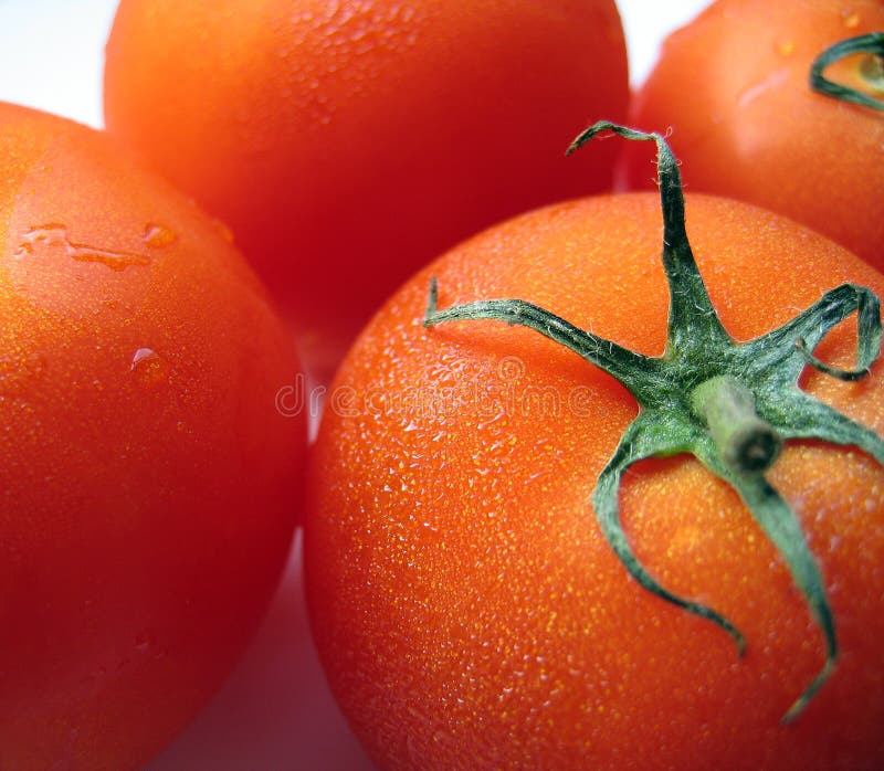 Plump Ripe Tomatoes stock photo. Image of nutritional, cuisine - 21130