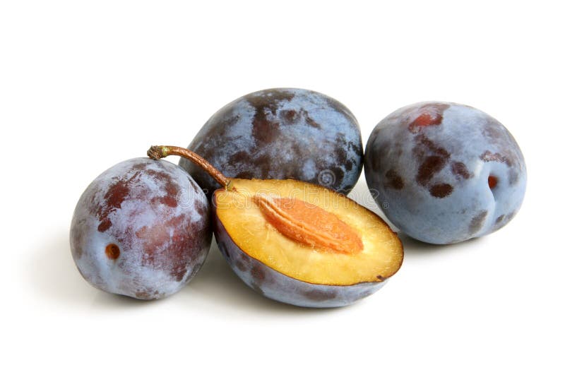 Plums stock photo. Image of white, fruit, prunus, nutritious - 2629838