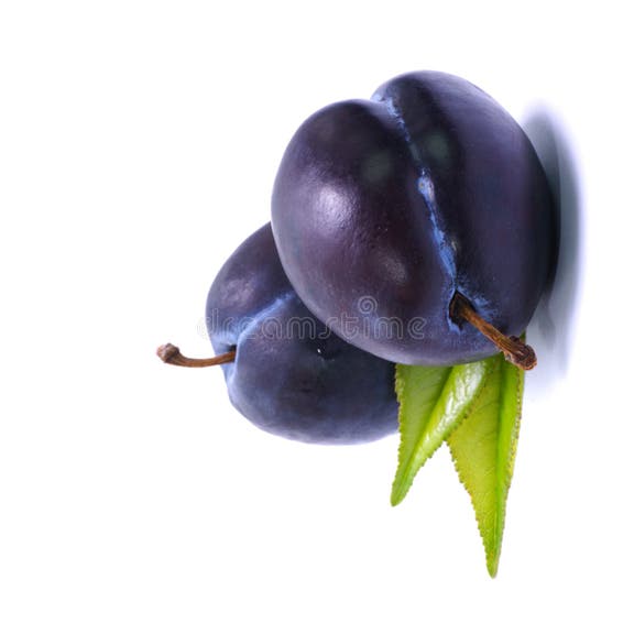 Plums stock image. Image of food, autumn, vegetable, plums - 23753893