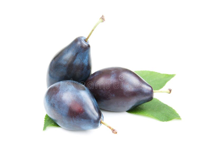 Plums stock image. Image of food, autumn, vegetable, plums - 23753893