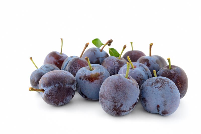 Plum at the tree stock photo. Image of dessert, nature - 5998558
