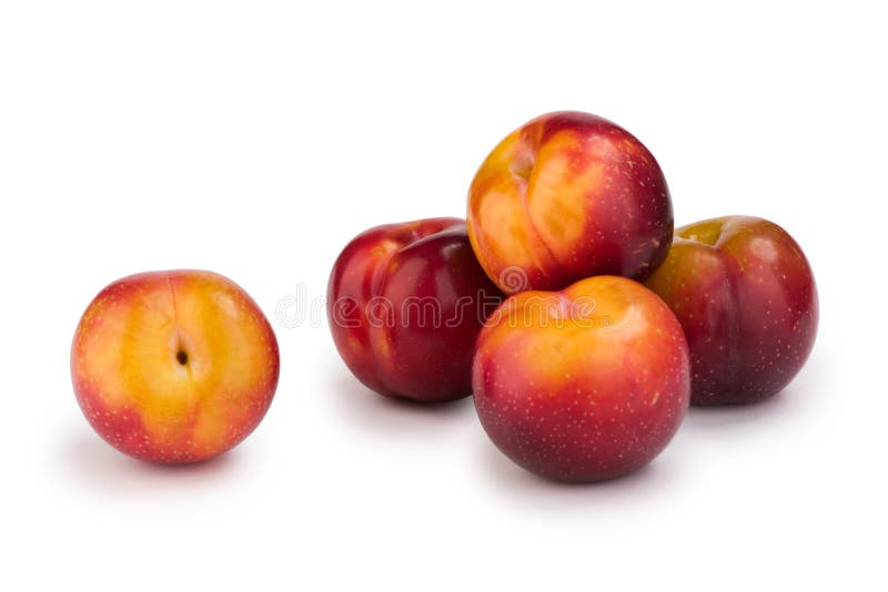 Small plum stock image. Image of isolated, vitamins, plant - 10646553