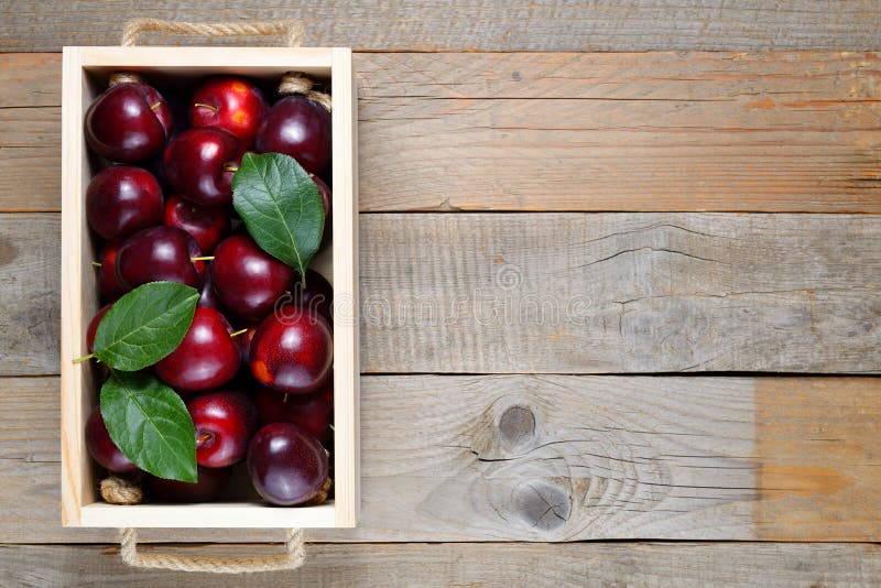 Plums in box on table stock photo. Image of food, copy - 124008348