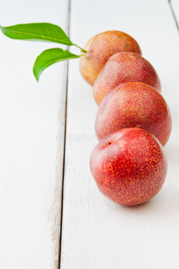 Pluot Plums stock photo. Image of summer, apricot, delicious - 3028434