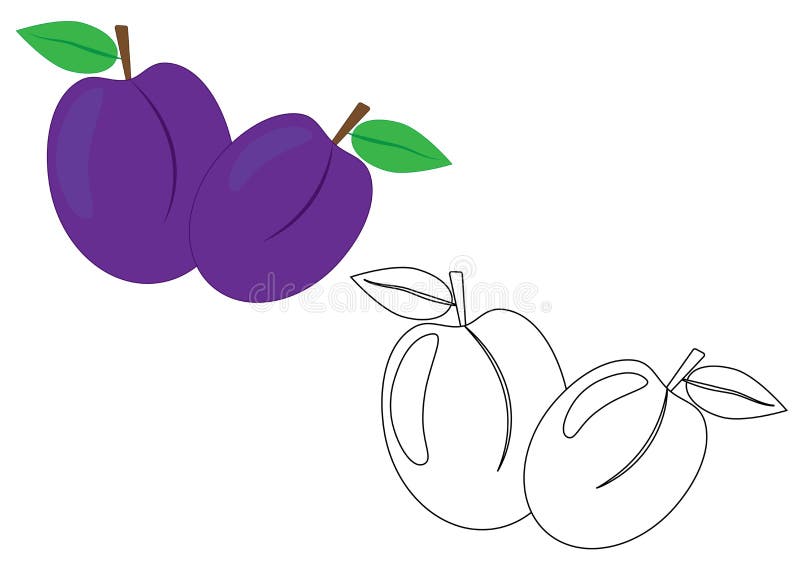 Plums Fruit, Coloring Page. Vector Illustration. Stock Vector ...