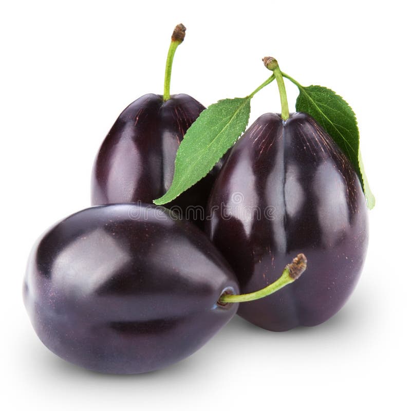 Plums stock photo. Image of plums, composition, plum - 10444424