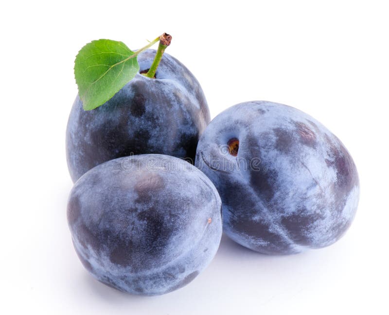 Plums stock photo. Image of white, fruit, prunus, nutritious - 2629838