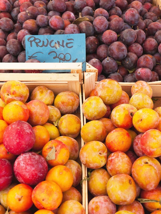 Plums at the market stock image. Image of plum, sell - 25348281