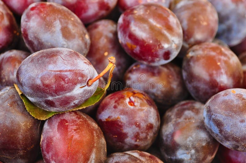 Plums in the market stock image. Image of bunch, ripe - 33317729