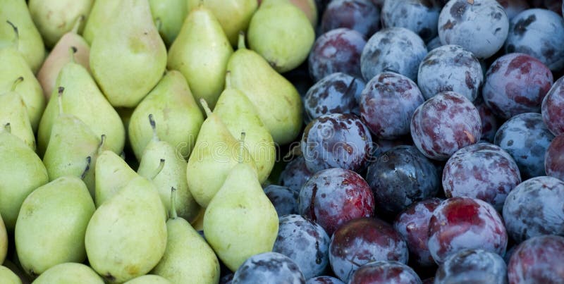 Plums and pears stock image. Image of pears, purple, green - 17132165