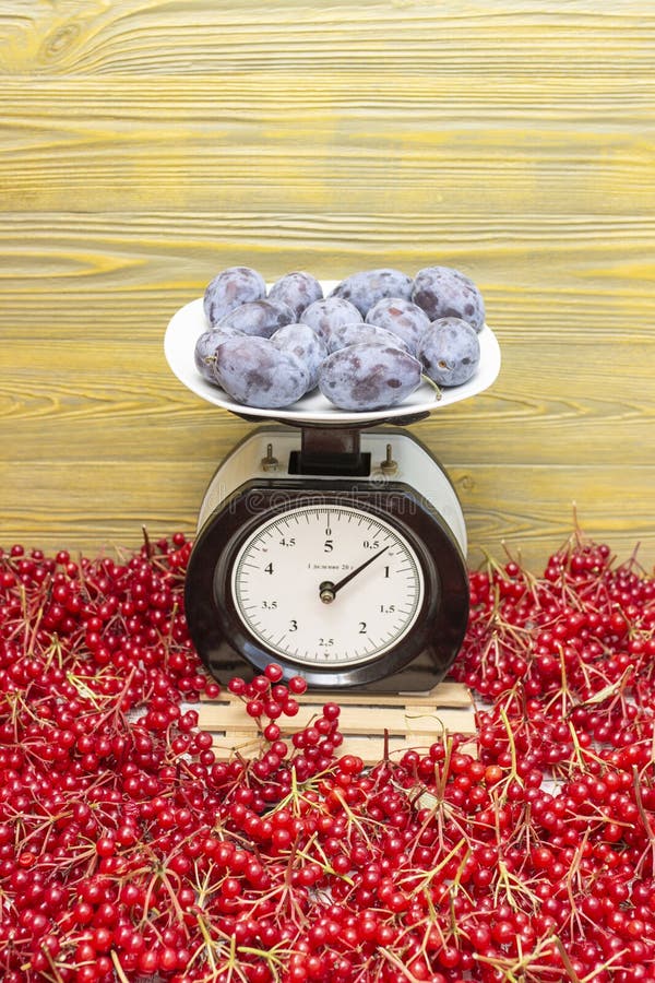 Plums are on the scales stock photo. Image of product - 131769412