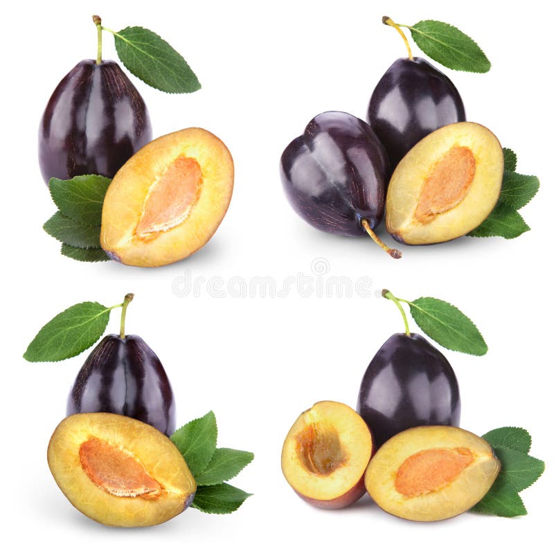 Plums stock photo. Image of ripe, plum, objects, leaf - 53480668