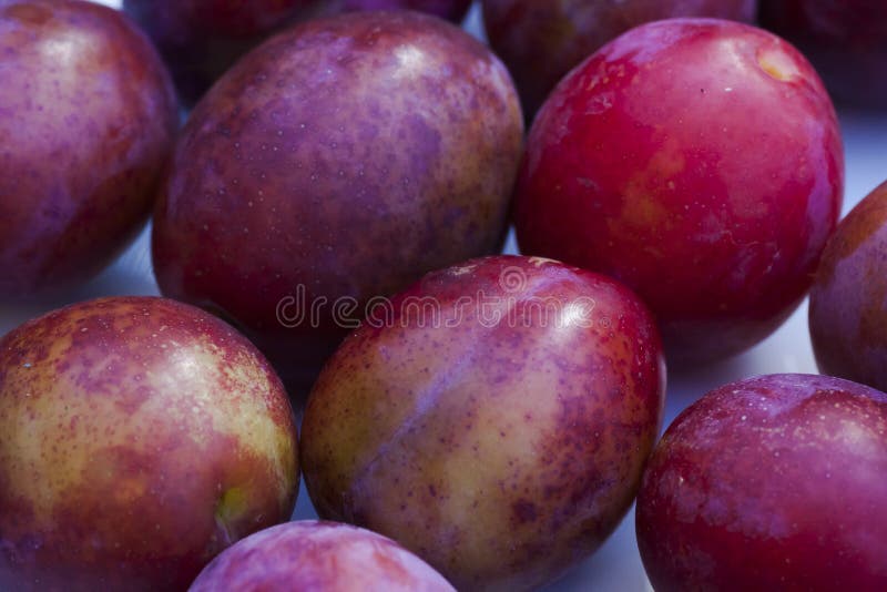 Plums stock image. Image of sweets, harvest, autumn, food - 78557315