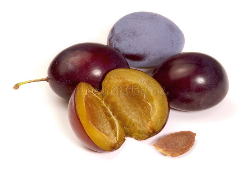 Plums stock photo. Image of aliment, grain, groceries - 34131824