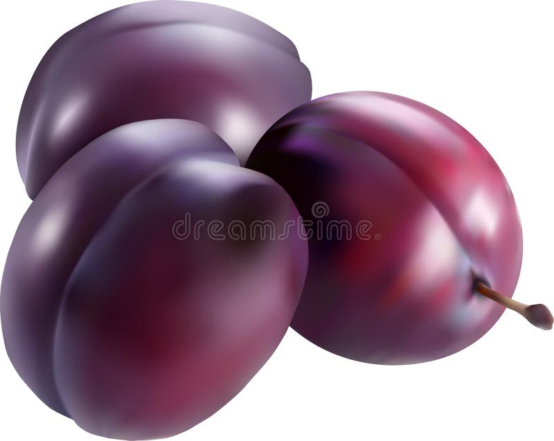 Three Plums Stock Illustrations – 96 Three Plums Stock Illustrations ...