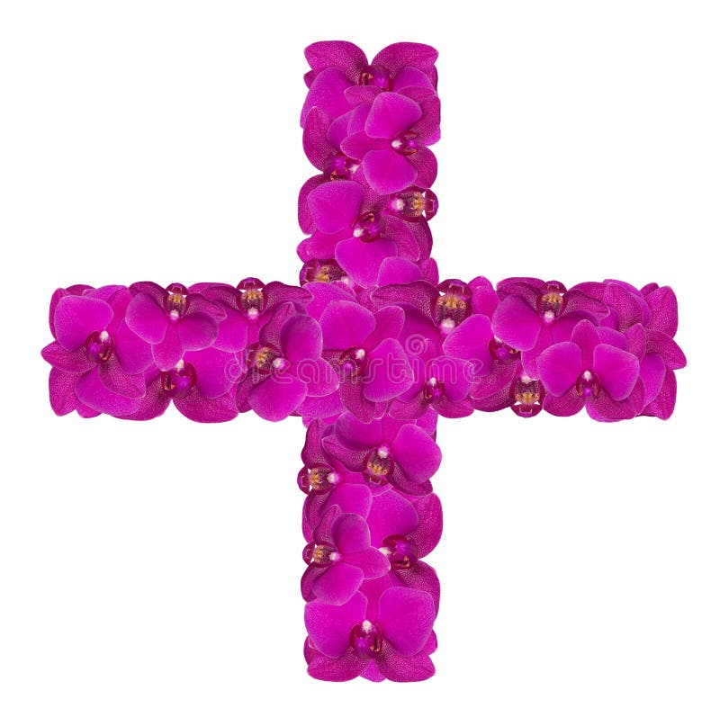 Plus Sign Made of Flowers. Isolated on White Background Stock Photo ...