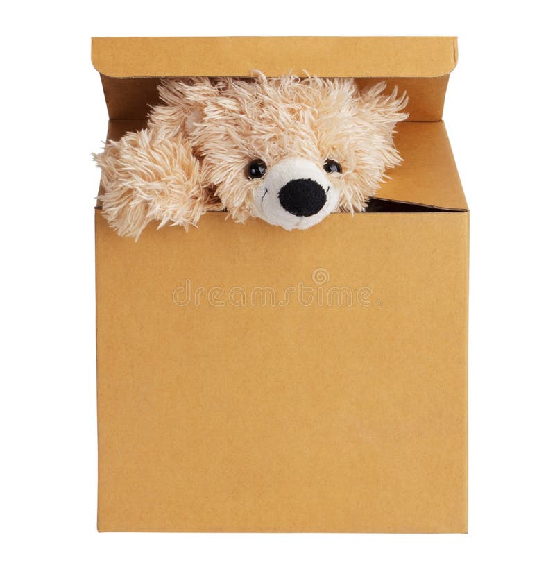 Plush Bear Peeking Out of a Cardboard Box Stock Image - Image of post ...