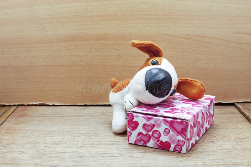 Plush Dog and Pink Gift Box on Wood Floor. Stock Image - Image of breed ...