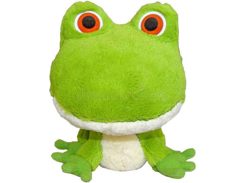 Plush Frog Isolated on White. Frog Toy Stock Photo - Image of kids ...