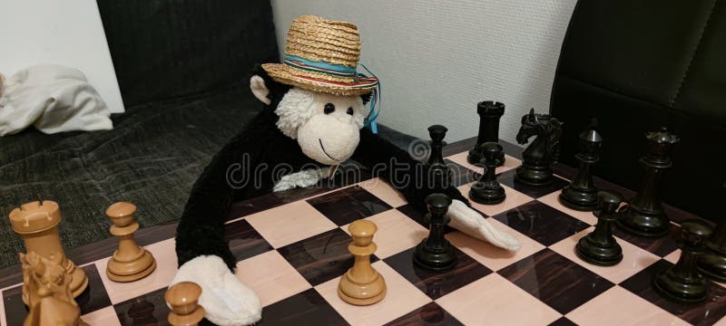 Chess Monkey Stock Photos - Free & Royalty-Free Stock Photos from ...