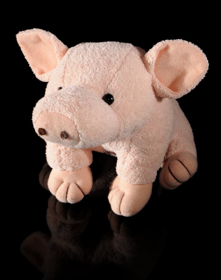 Pig Plushie Doll Isolated on White Background with Shadow Reflection ...