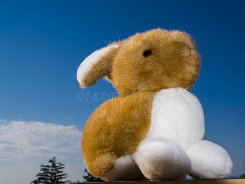 Plush Puppet and with the Blue Sky in Summer Stock Image - Image of ...