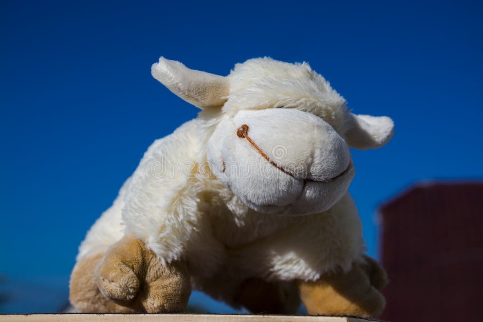 Plush Puppet and with the Blue Sky in Summer Stock Image - Image of ...