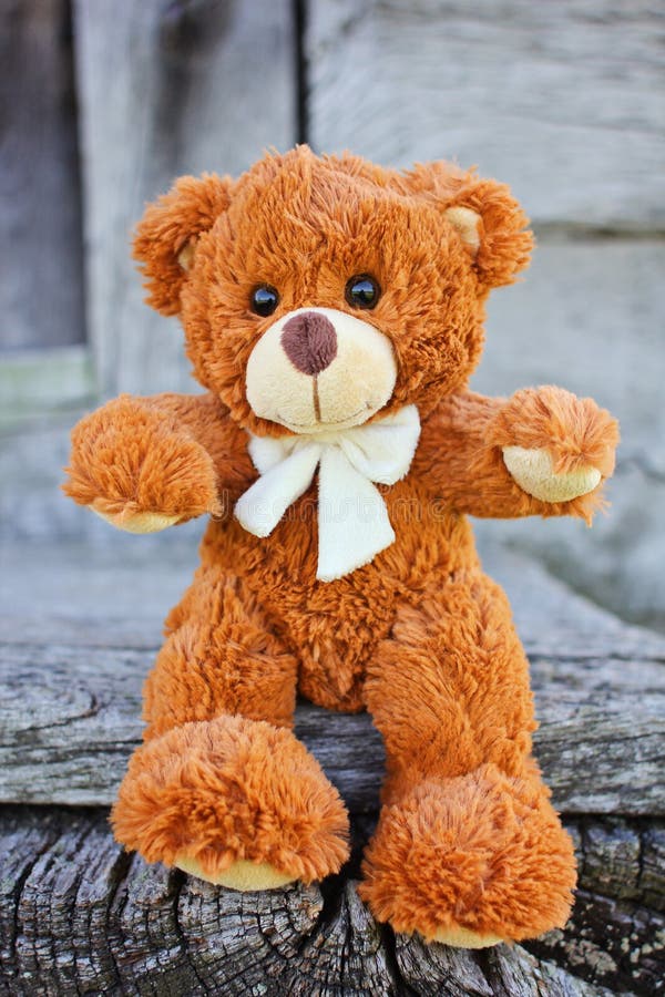 Plush Teddy Bear toy stock photo. Image of friendship - 25360770