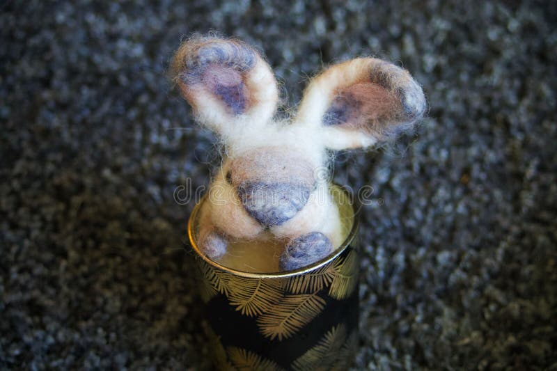 Plush Toy Rabbit Placed in a Silver Metal Container with a Shining ...