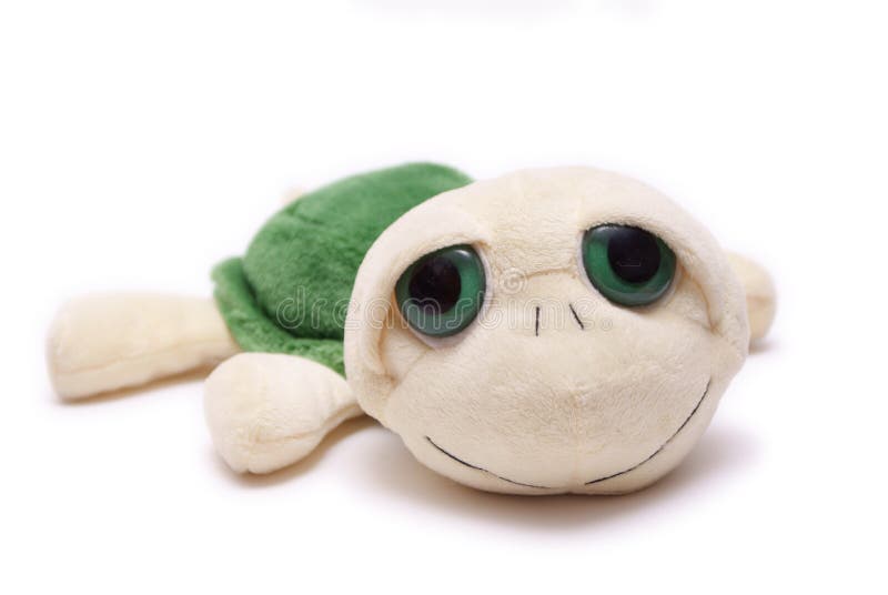 Sad turtle stock photo. Image of turtle, animals, decoration - 5573252
