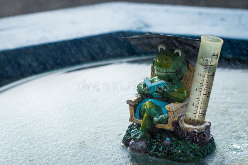 Grenouille Pluie Pluie D'été Dans Le Jardin La Grenouille Se Repose ...