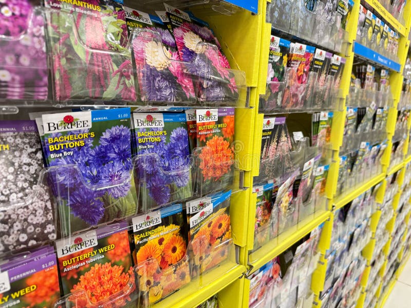 Burpee Flower Seed Packets Display at a Store Editorial Stock Image ...