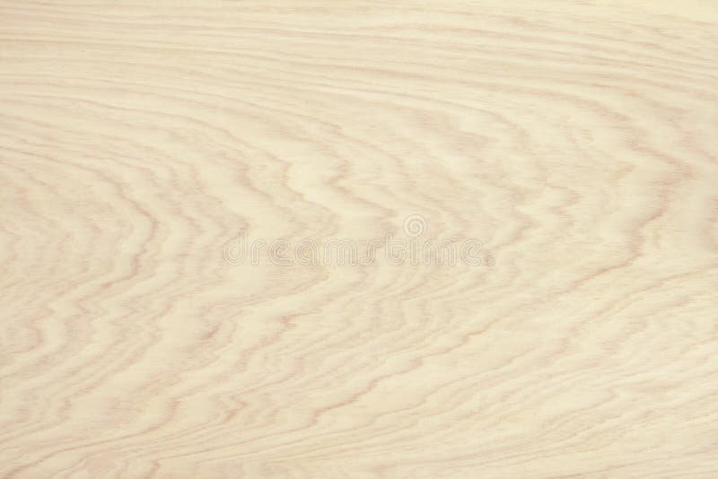 Plywood Surface in Natural Pattern with High Resolution. Wooden Grained ...