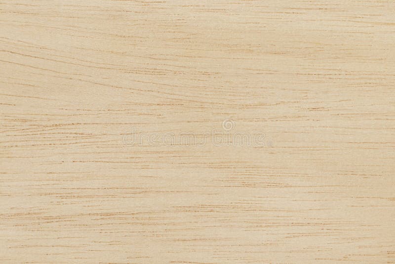 Plywood Surface in Natural Pattern with High Resolution. Wooden Grained ...