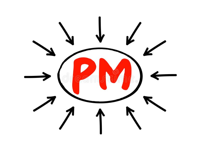 PM - Project Manager is a Professional in the Field of Project ...