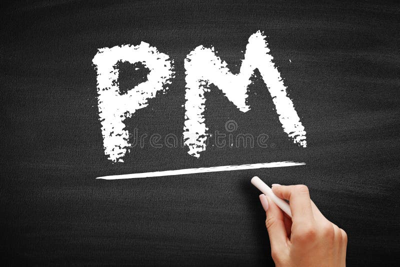 PM - Project Manager is a Professional in the Field of Project ...