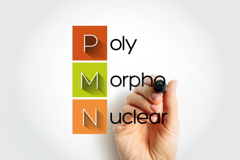 PMN - PolyMorphoNuclear Acronym, Concept on Blackboard Stock Photo ...